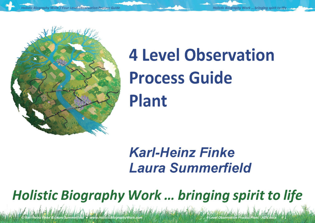 Observation Process Guide - Holistic Biography Work