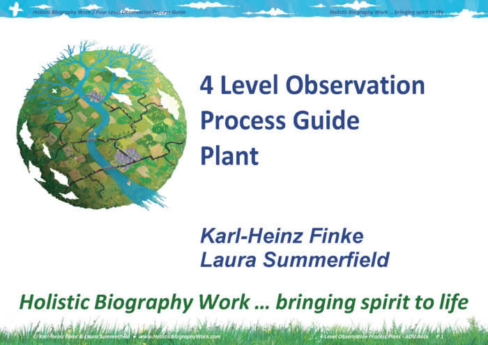 Observation Process Guide - Holistic Biography Work