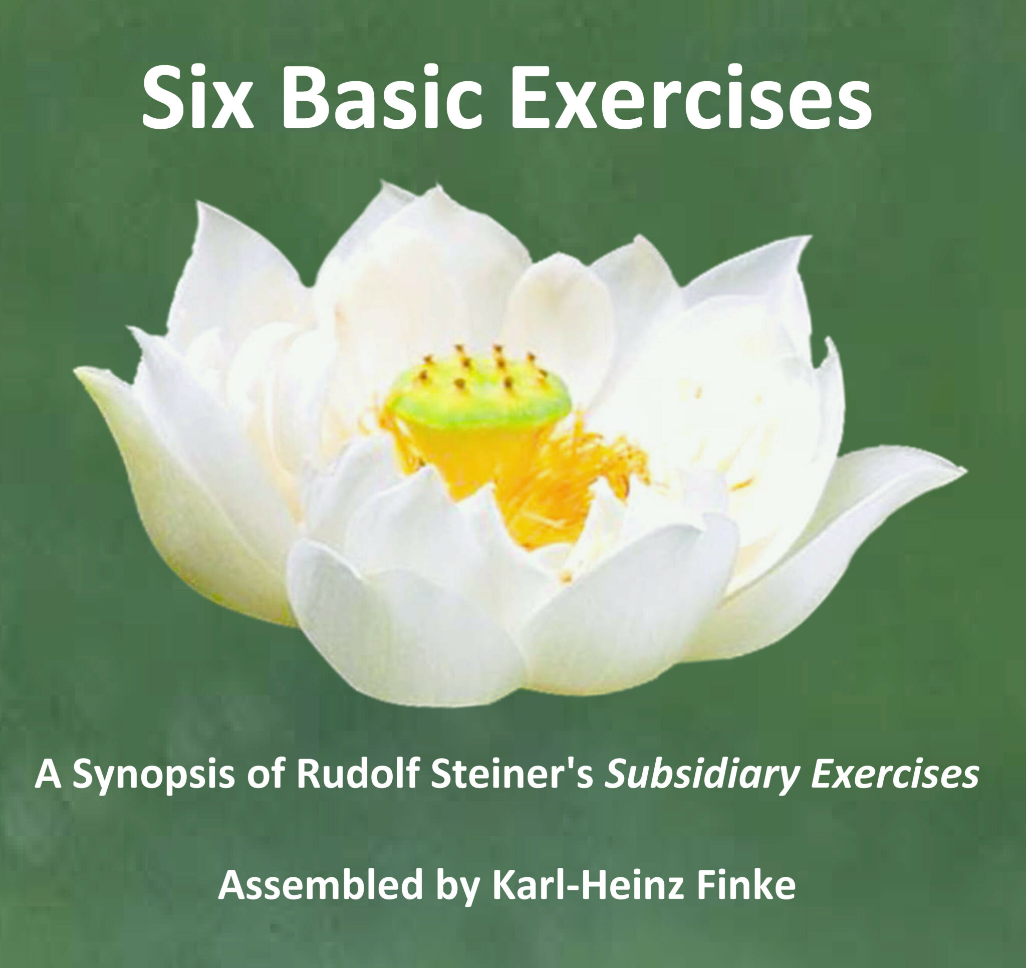 Resource Guide - Six Basic Exercises - Holistic Biography Work